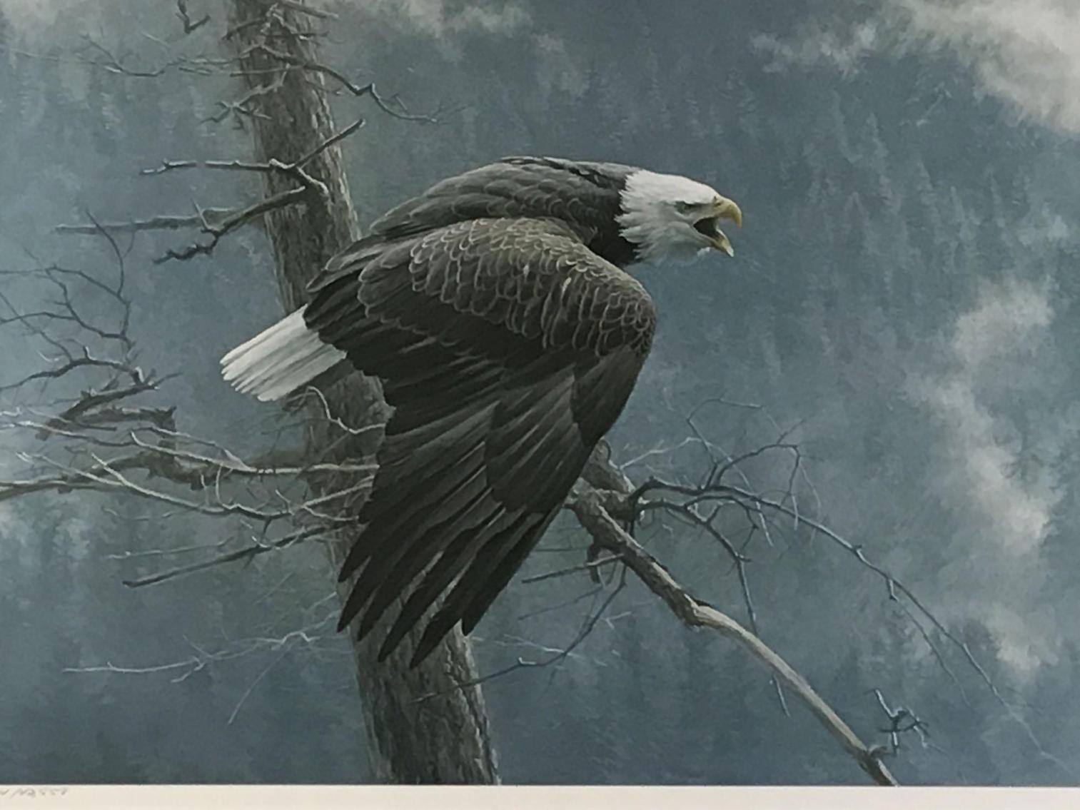 Robert McLellan Bateman | Bald Eagle perched on tree limb | MutualArt