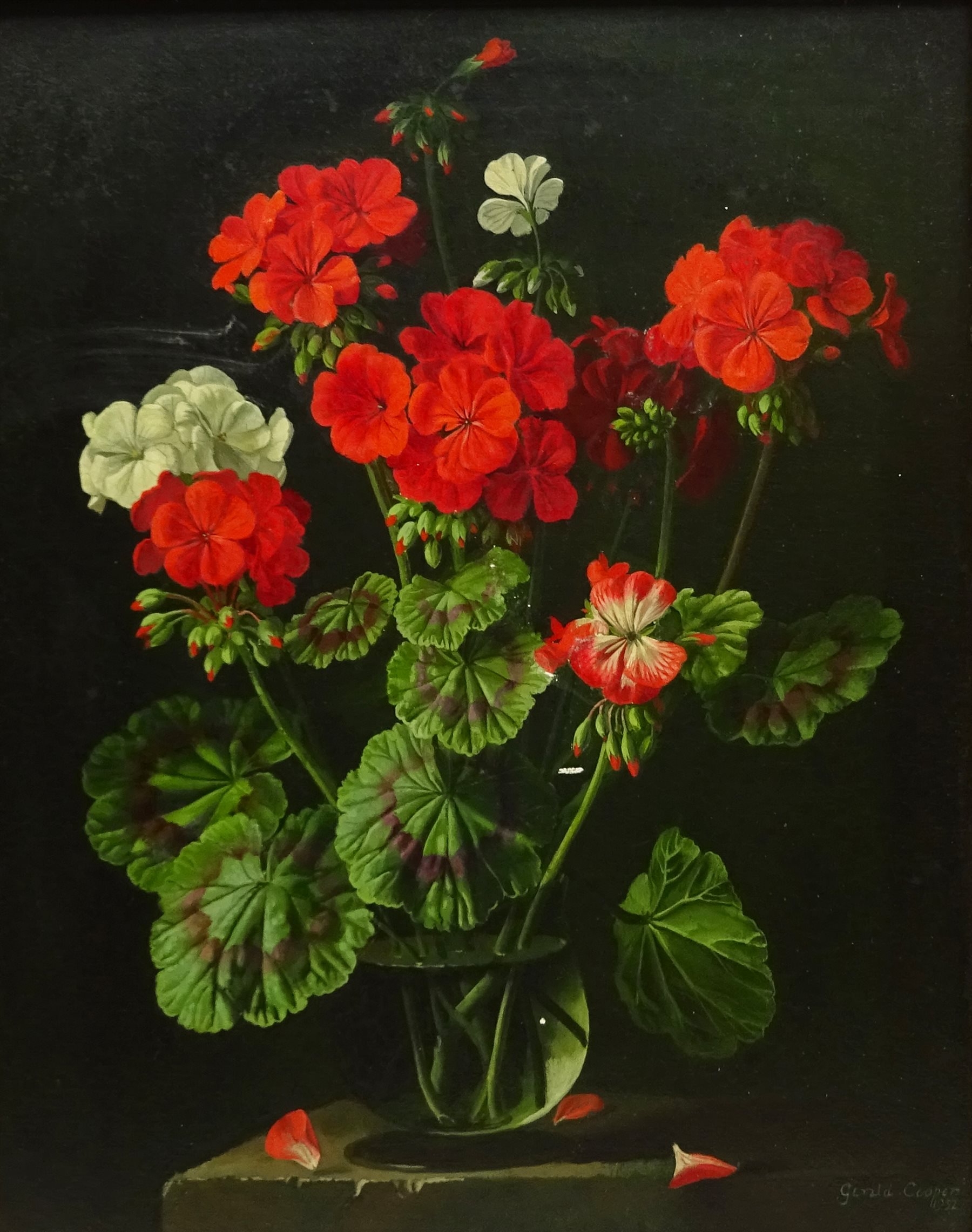 Gerald Cooper | Still Life of Geraniums (1952) | MutualArt