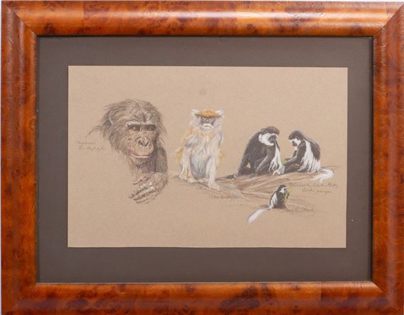 Nancy Strailey | SIMIAN STUDY | MutualArt