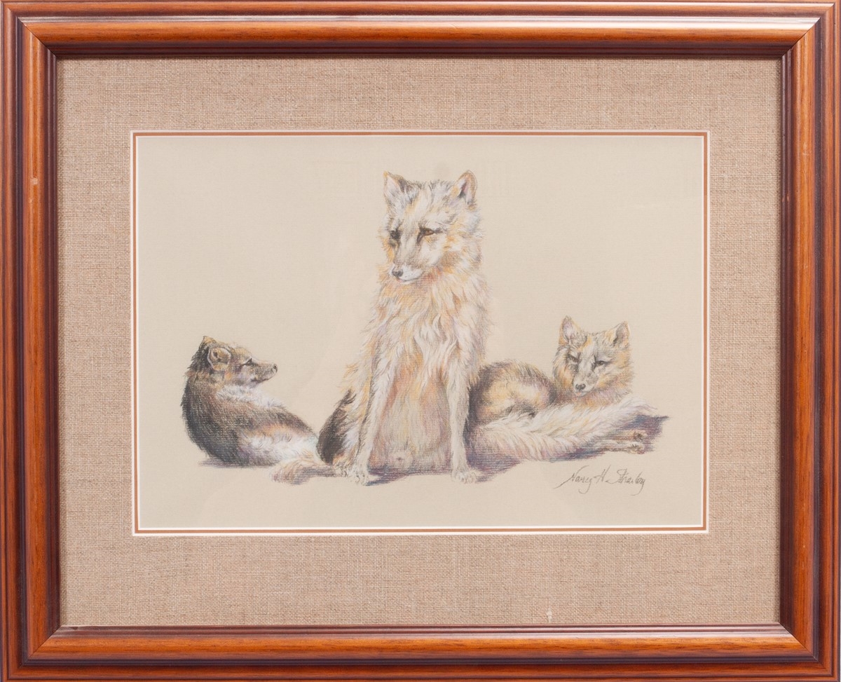 Nancy Strailey | ARCTIC FOXES | MutualArt