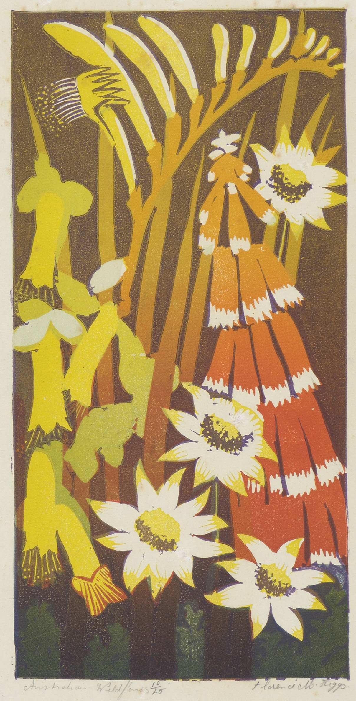 Florence Higgs | Australian Wildflowers | MutualArt