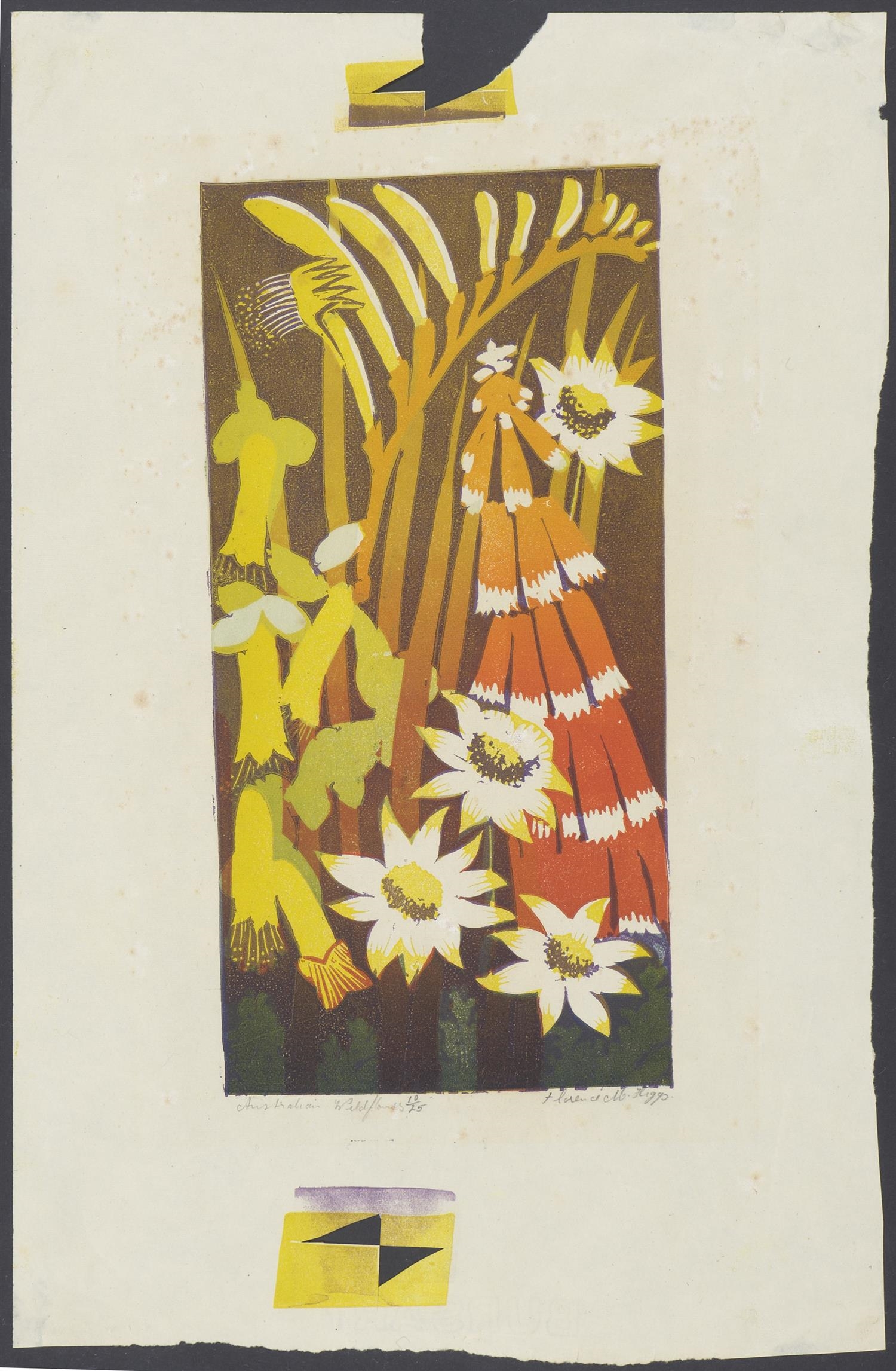 Florence Higgs | Australian Wildflowers | MutualArt