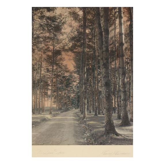 David Davidson | 14 Artworks at Auction | MutualArt