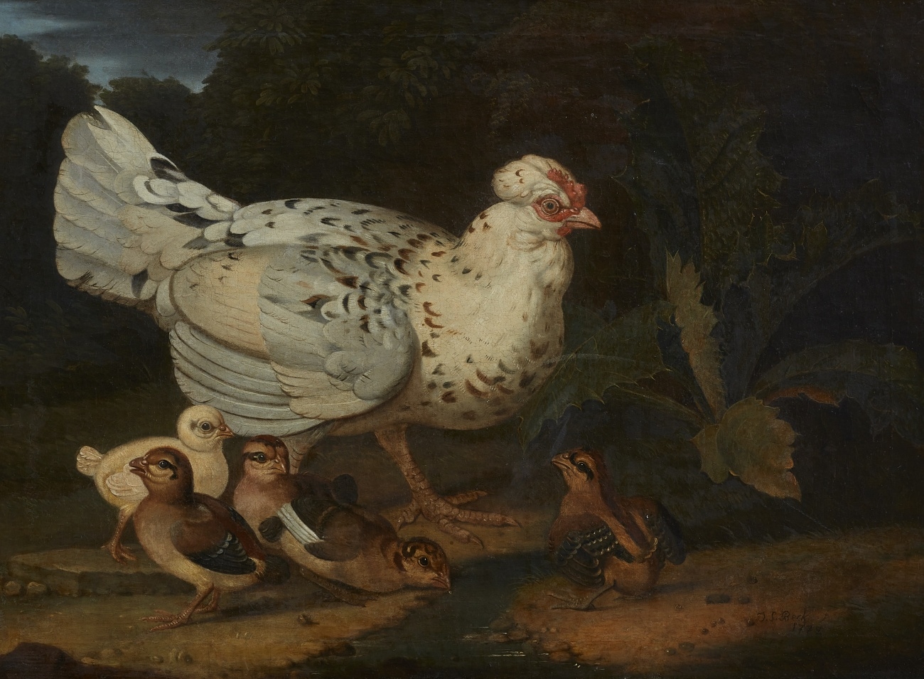 Jacob Samuel Beck | Hen with Chicks (1772) | MutualArt