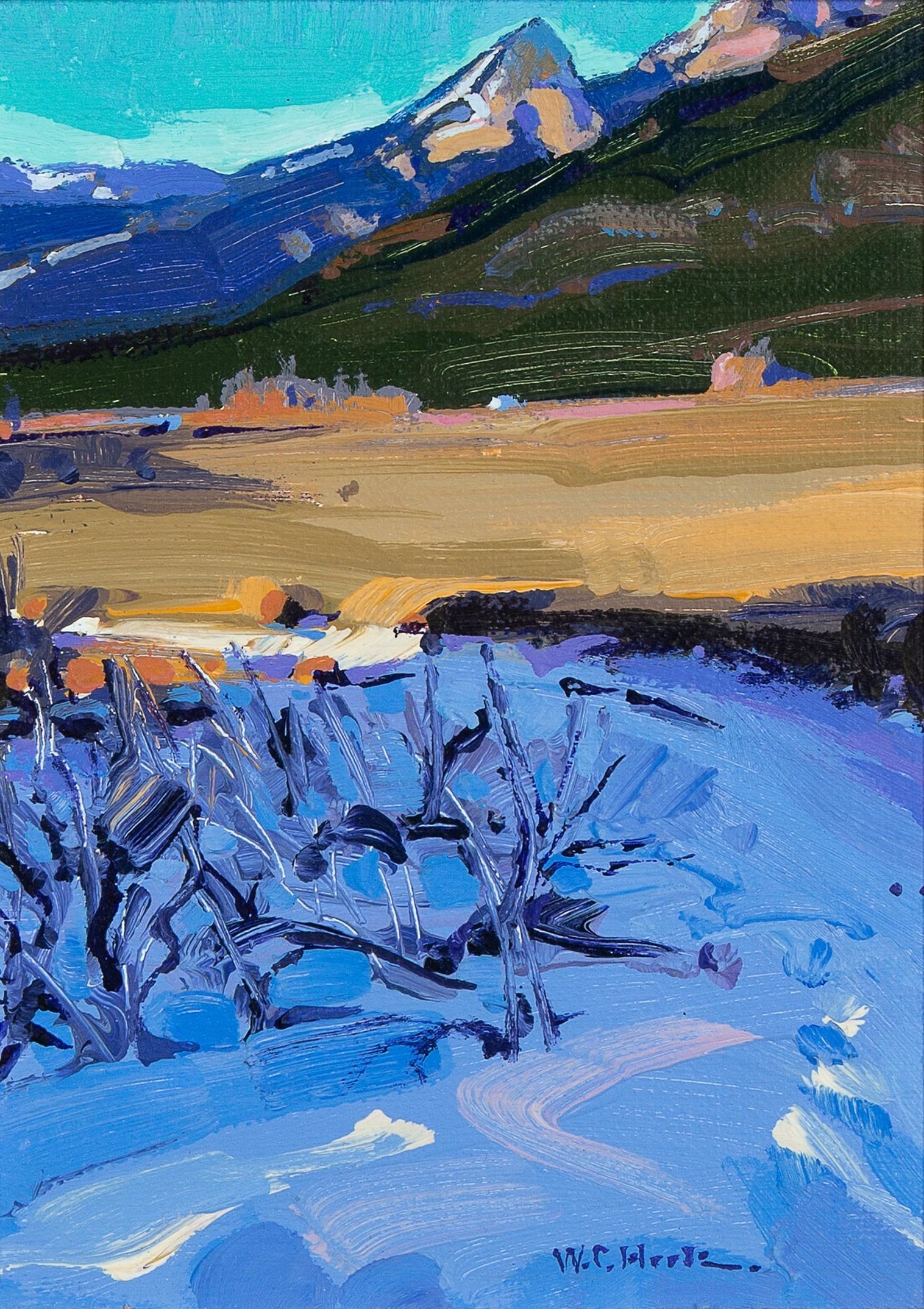 William Cather Hook | Mabel's Backyard, (Circa 1989) | Compare similar ...