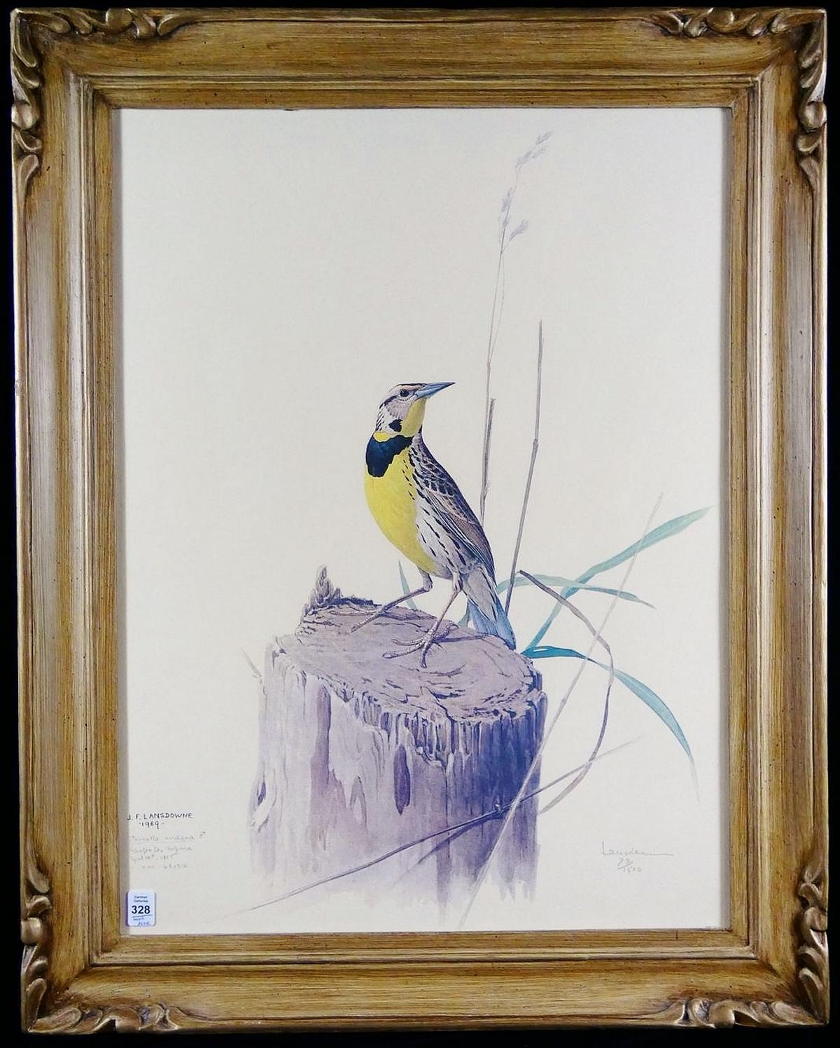 James Fenwick Lansdowne | Eastern Meadowlark | MutualArt