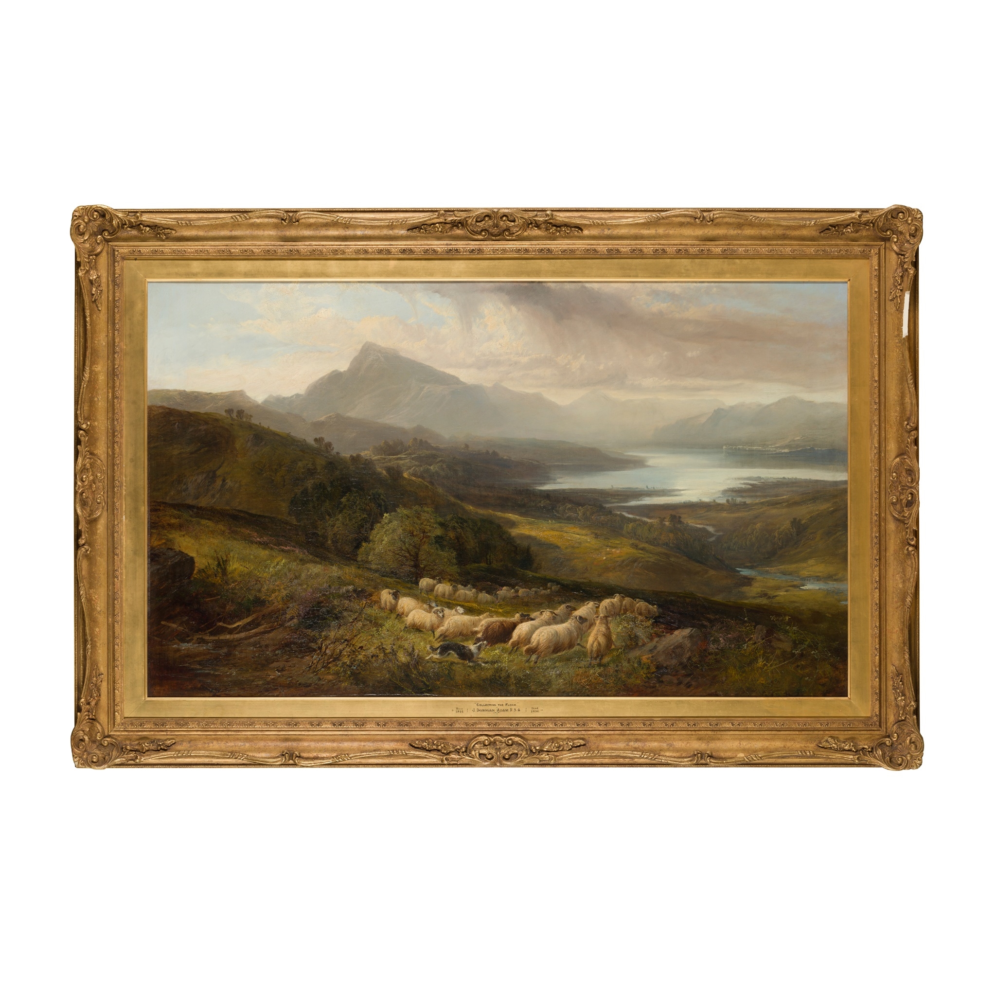 Joseph Adam | COLLECTING THE FLOCK | MutualArt