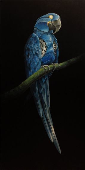 Emil Goś | MODROARA HIACYNTOWA (2020) | MutualArt