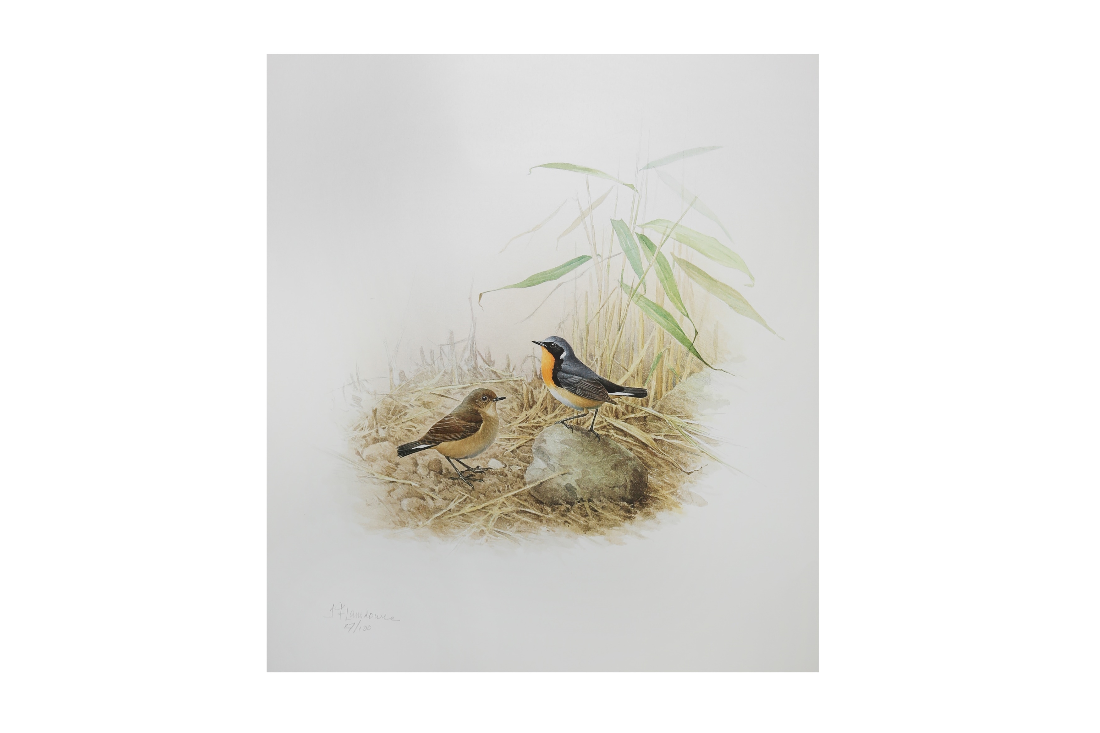 James Fenwick Lansdowne | Three collotypes from Rare Birds of China ...