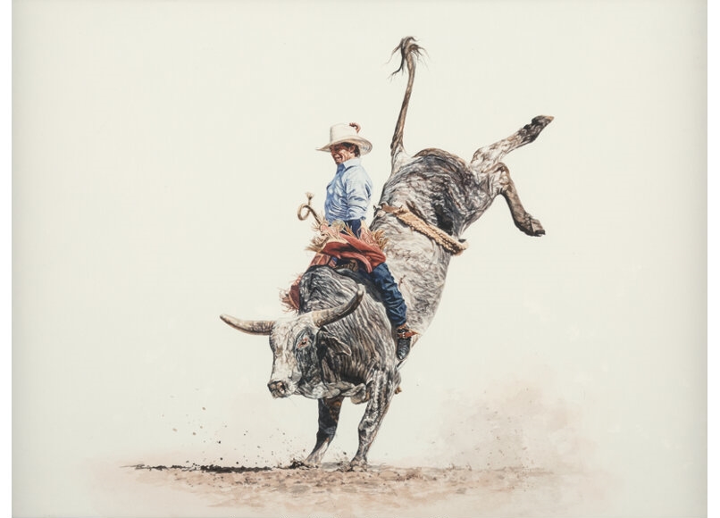 Rodeo Bull Drawing