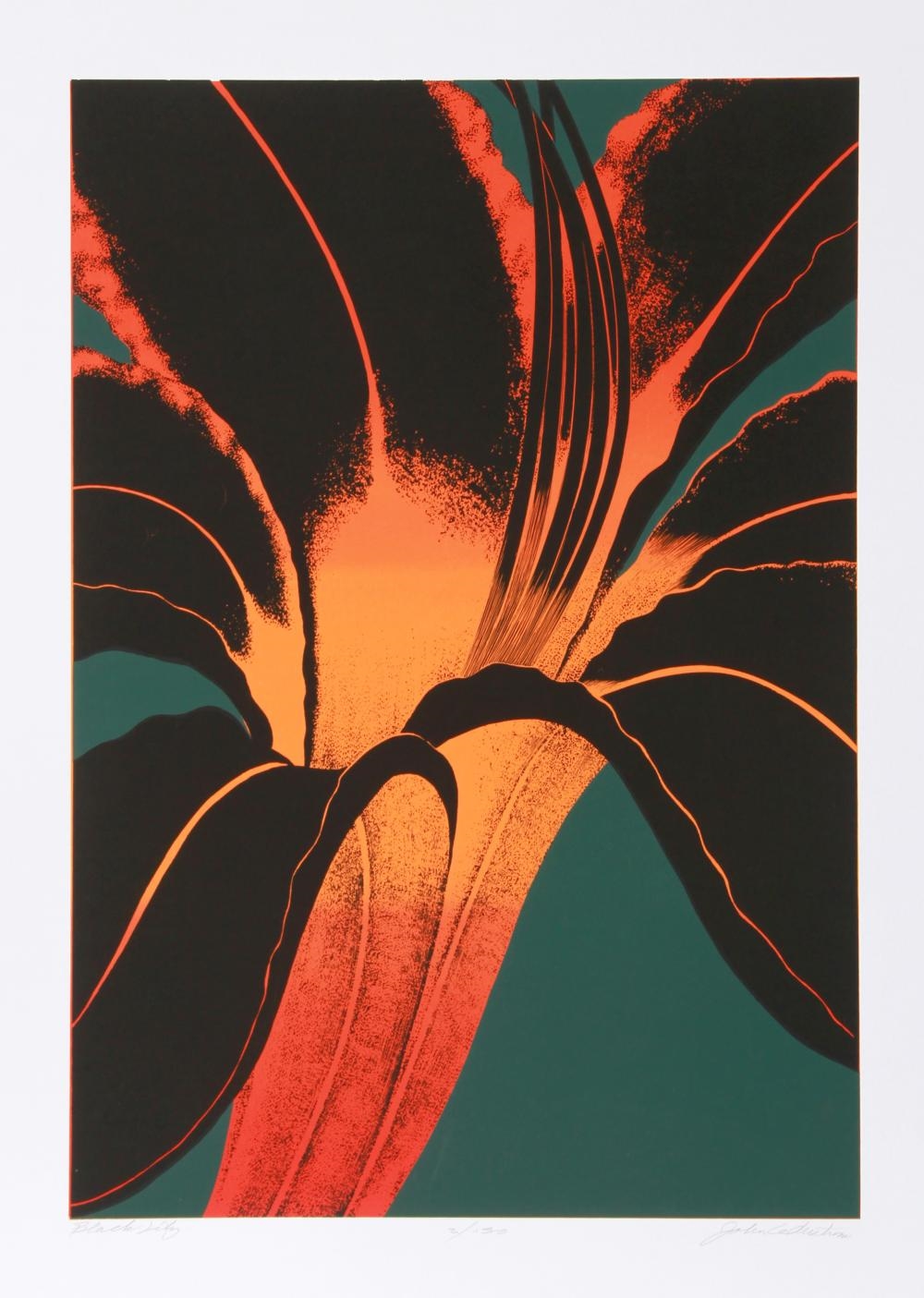 John Cederstrom | Black Lily | MutualArt