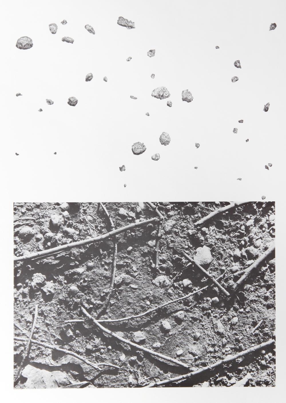 Alan Sonfist | Earth Series 1 (1980) | MutualArt