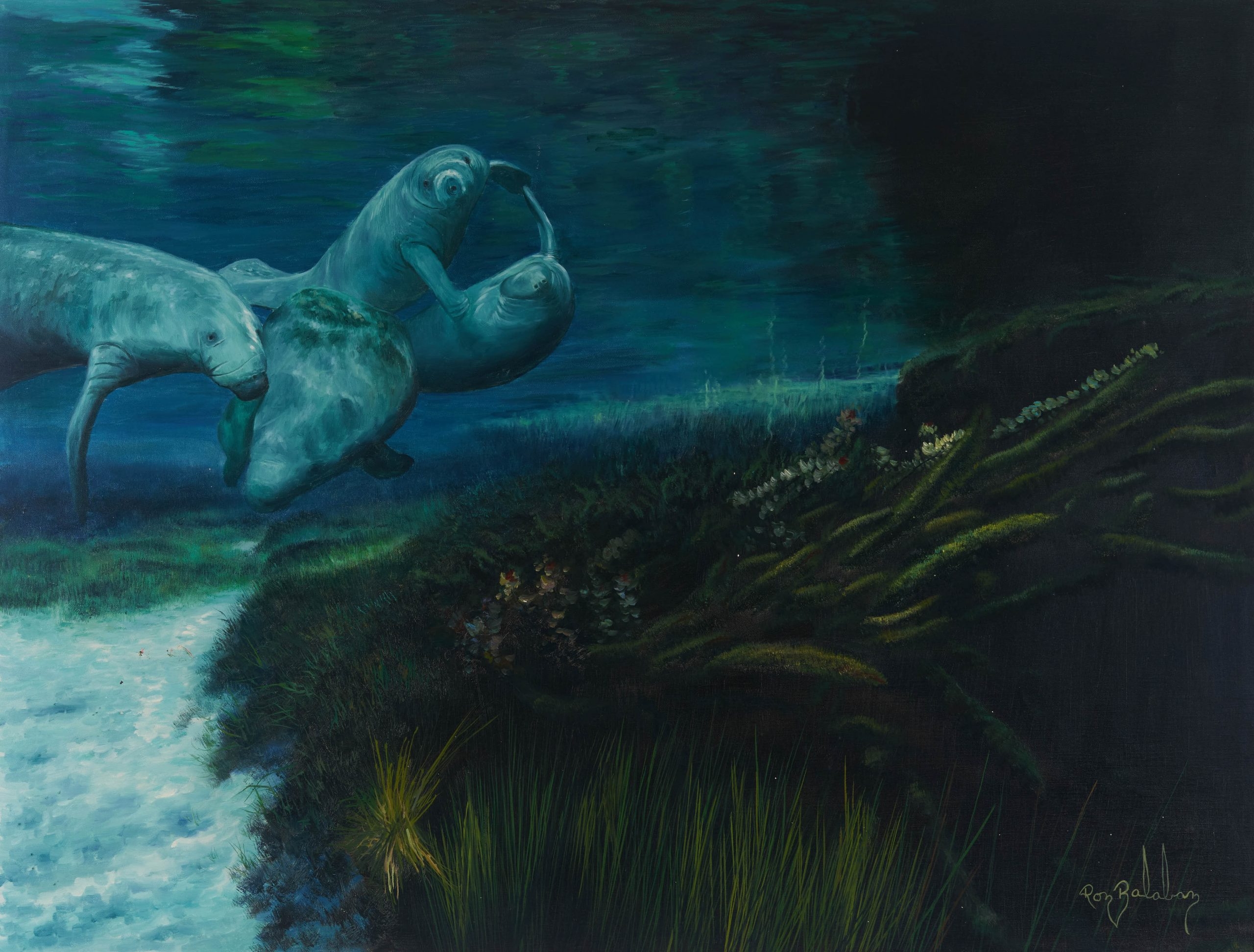 Ron Balaban | Manatees | MutualArt