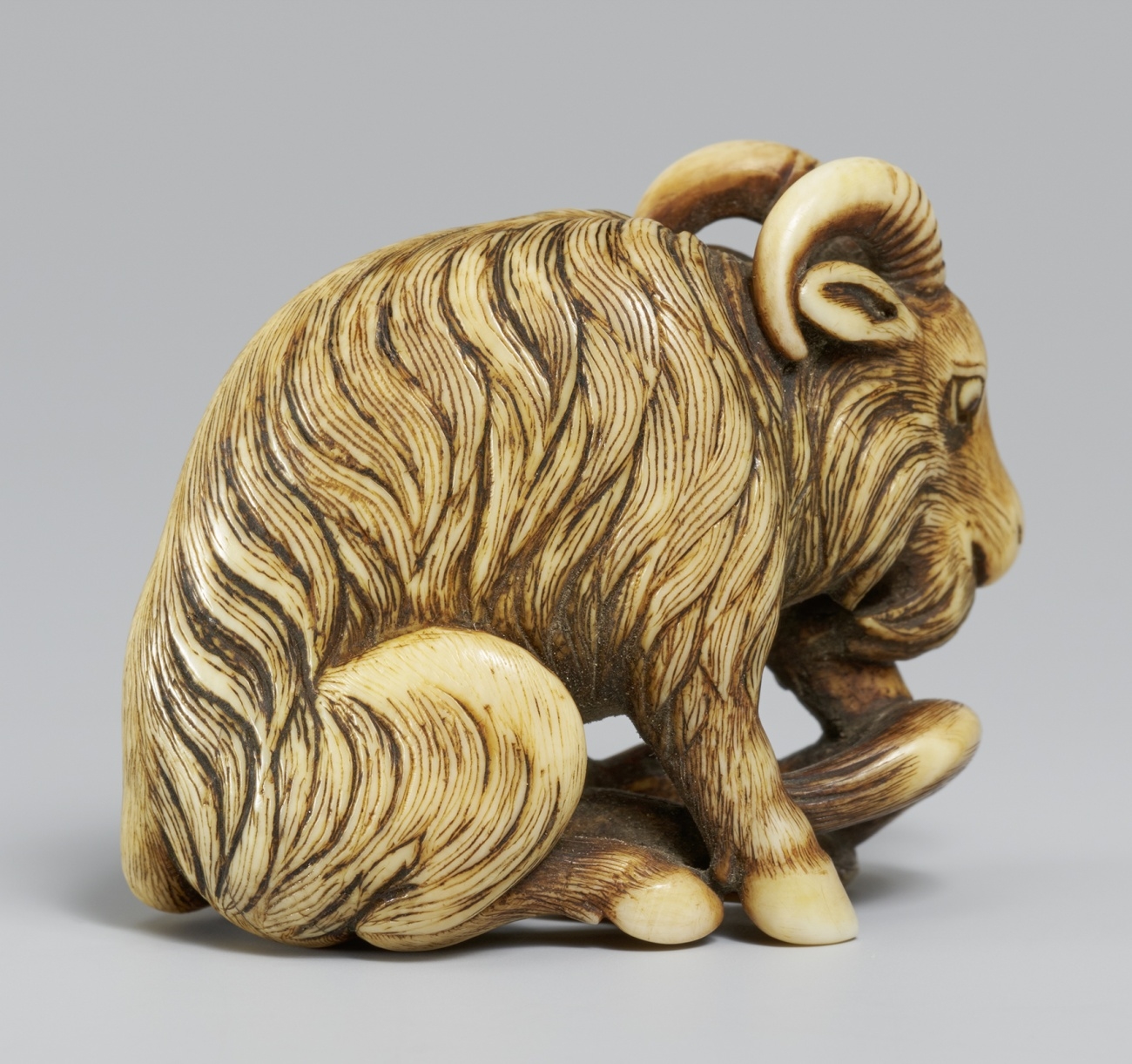 Okakoto | An ivory netsuke of a long-haired goat, by Okakoto. Early ...