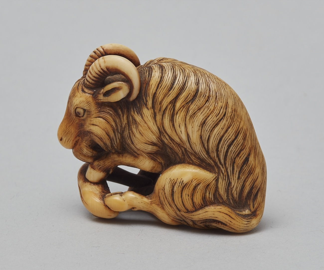 Okakoto | An ivory netsuke of a long-haired goat, by Okakoto. Early ...