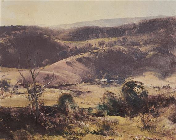 robert simpson photography