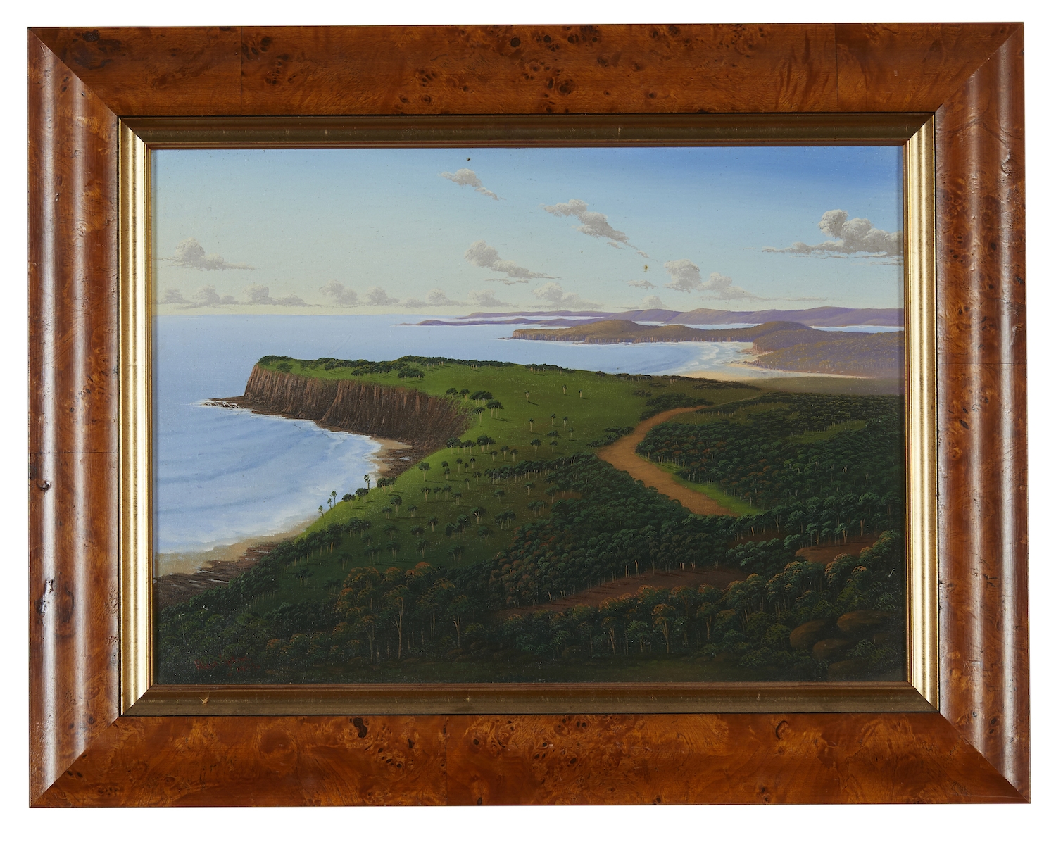 Alan Upton | Arial View of a Coastal Landscape (1993) | MutualArt
