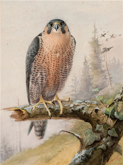 Michael Anthony Shrapnel Biddulph | 2 Artworks at Auction | MutualArt