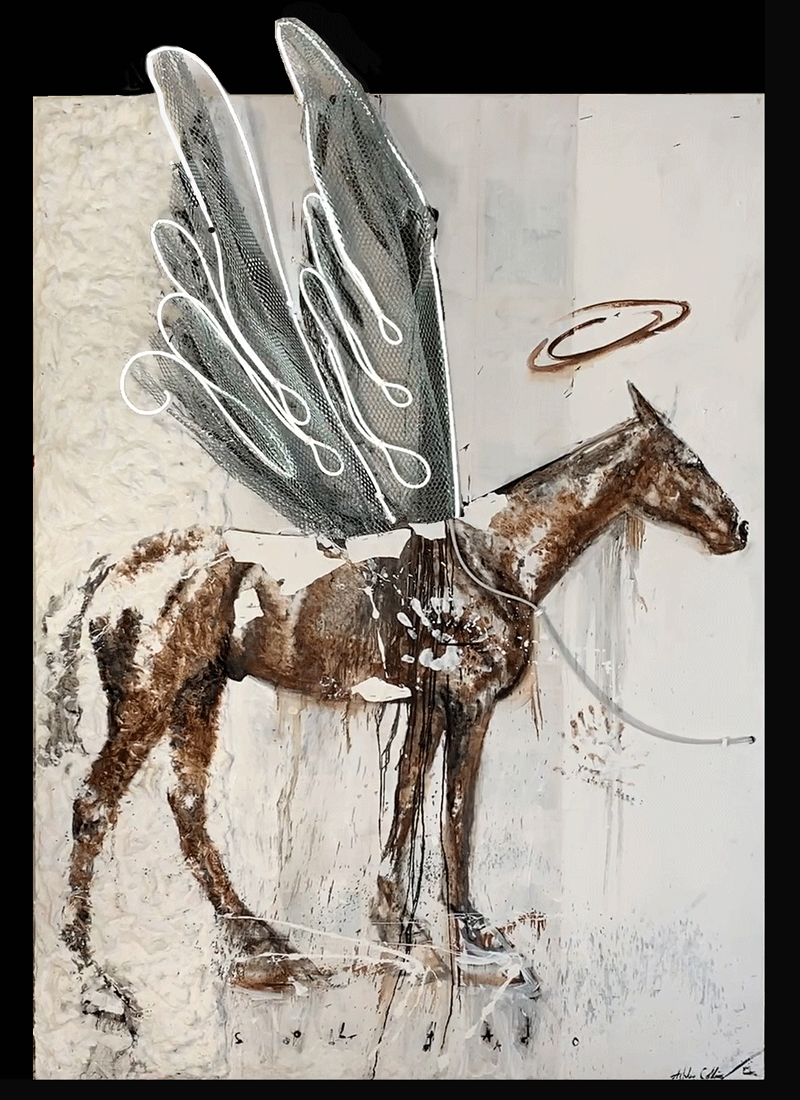 Ashley Collins | Gallery Soolip | MutualArt