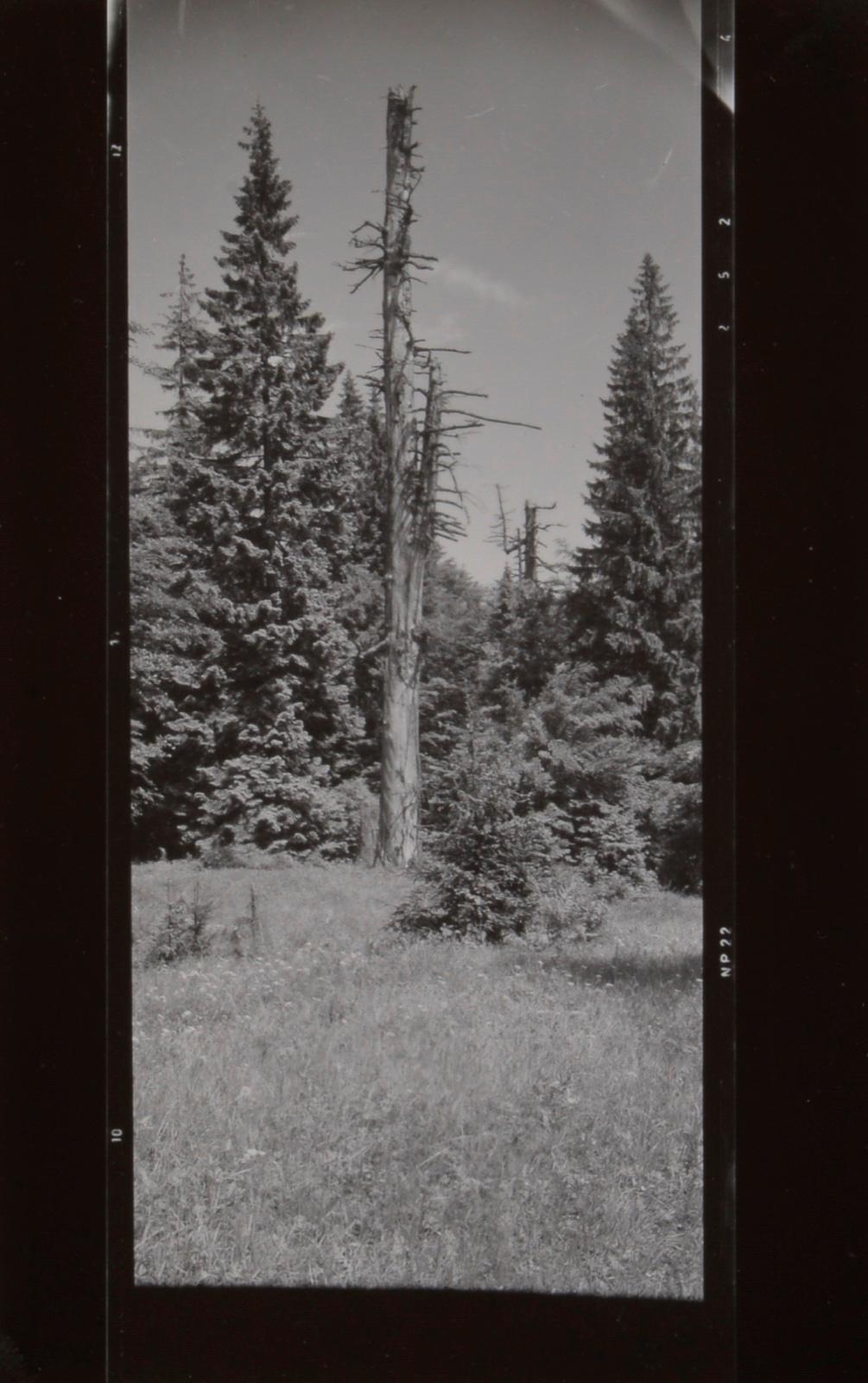 Josef Sudek | Six works: Prague Castle and Gardens; Prague Castle; The ...