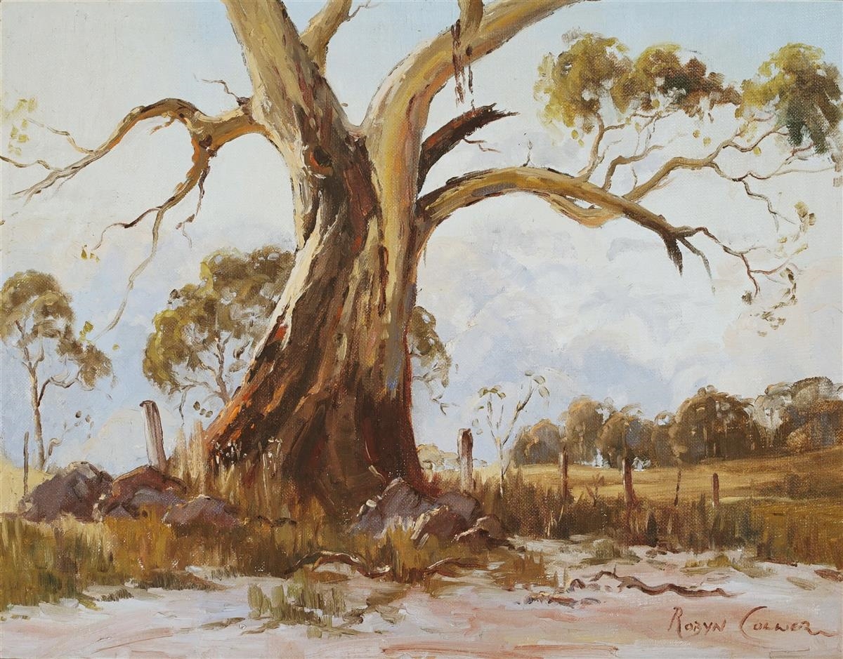 Robyn Collier | Old Warrior, Megalong Valley | MutualArt