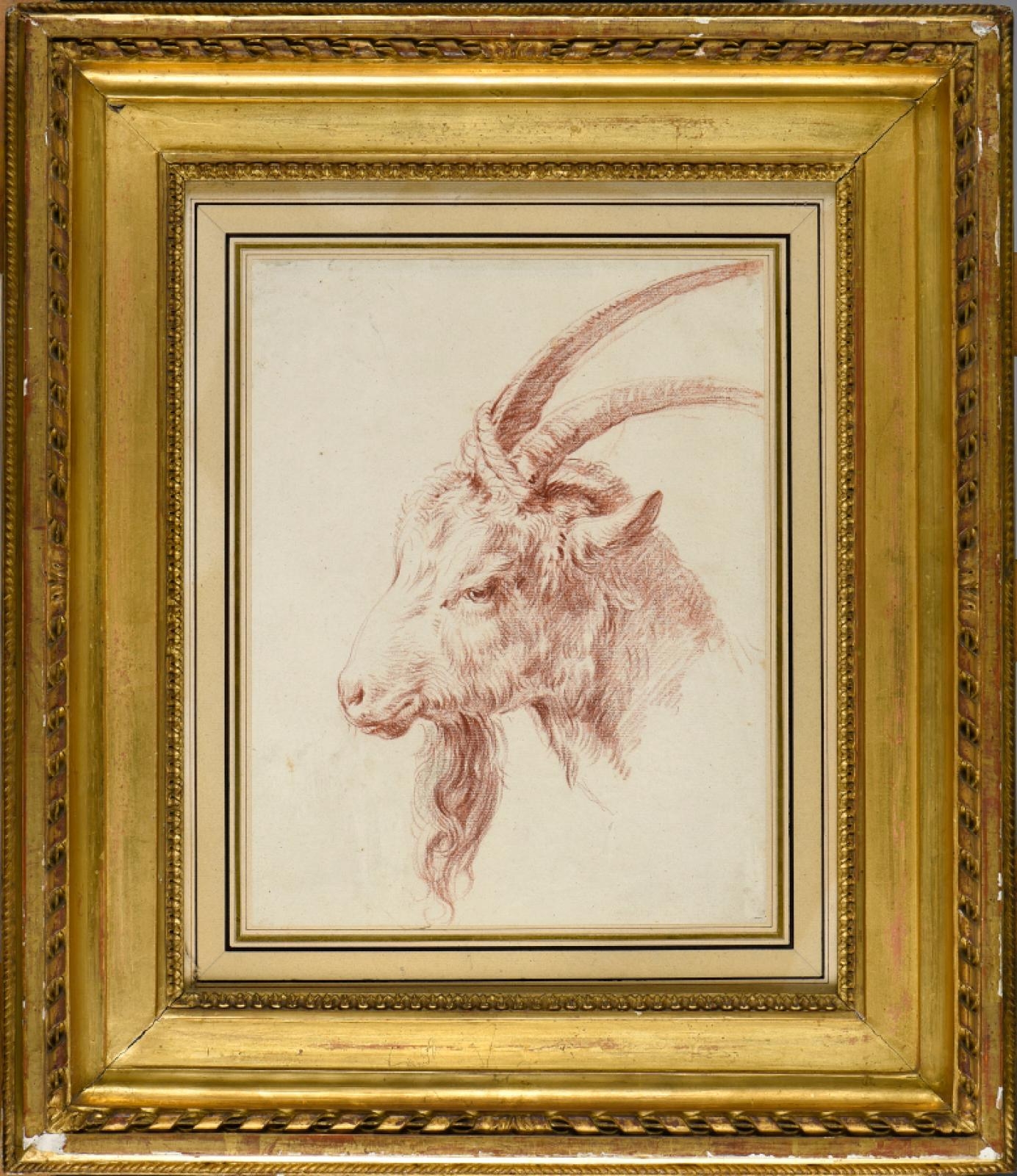 Jean-Baptiste Huet | Tête de bouc | MutualArt