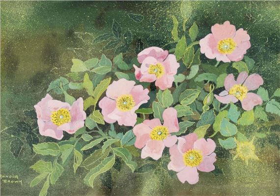 Annora Brown | ALBERTA WILD ROSES | MutualArt