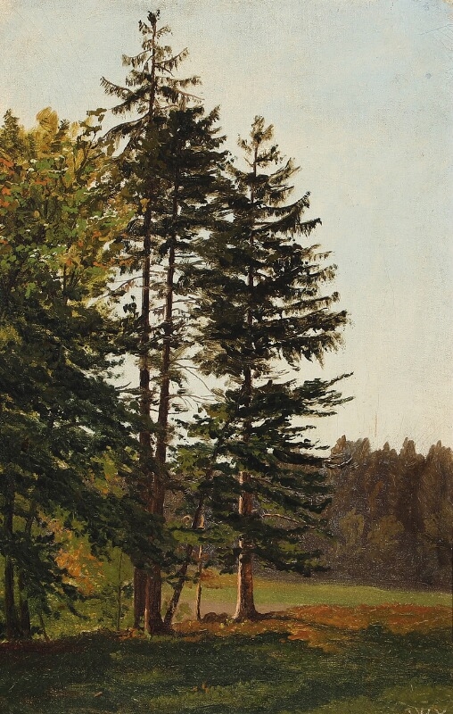 Wilhelm Ferdinand Xylander | Forest scenery | MutualArt