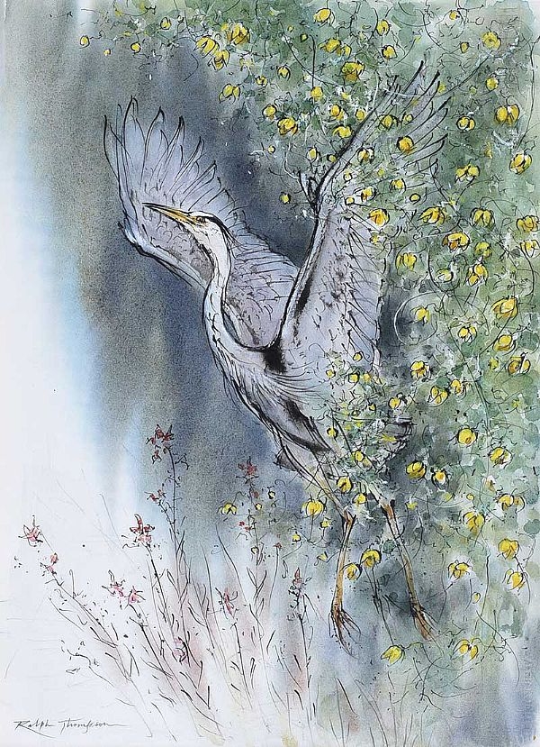 Ralph Thompson | HERON TAKING OFF | MutualArt