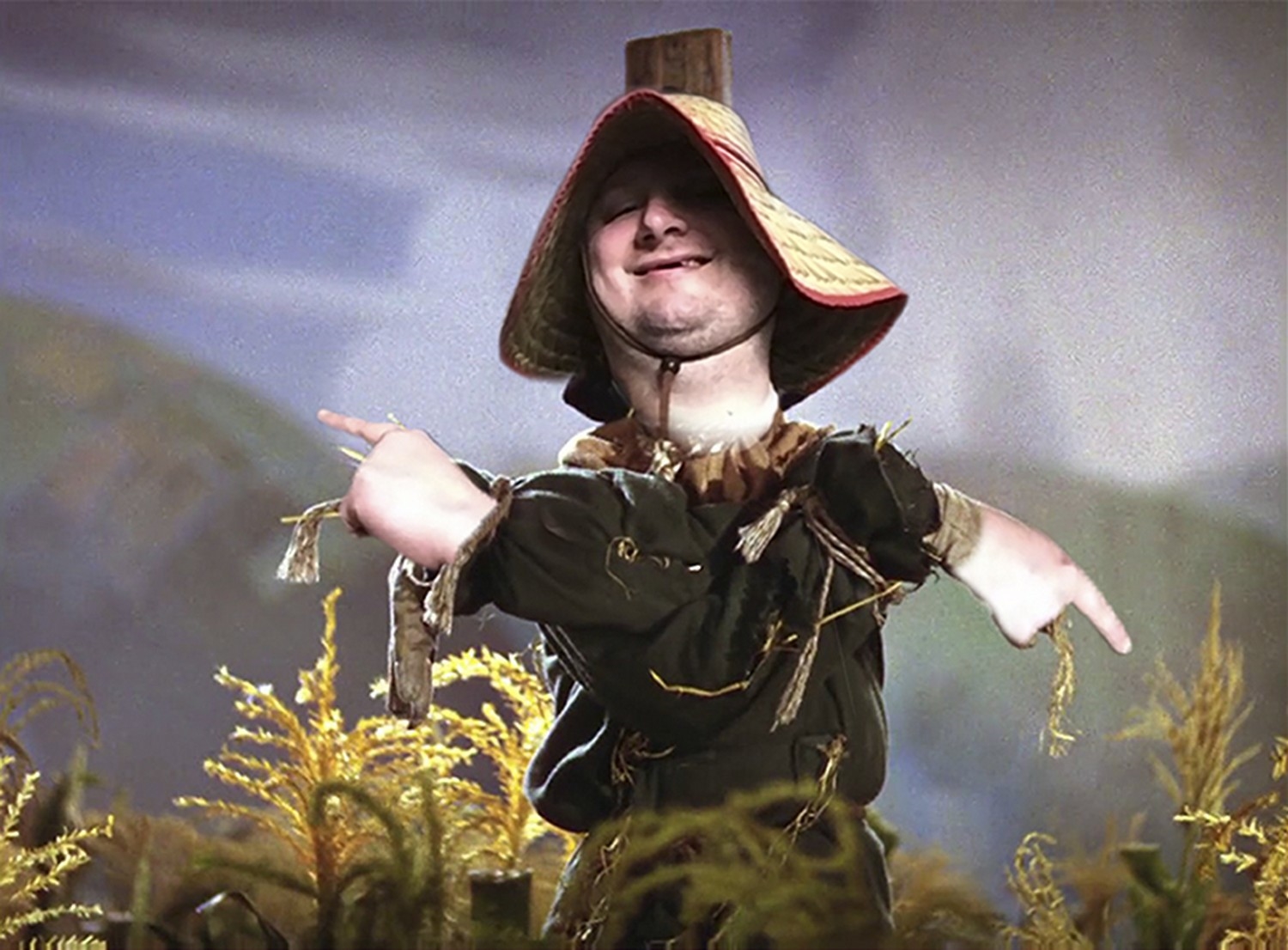 Danny Lyons | Danny as The Scarecrow from The Wizard of Oz (2020 ...