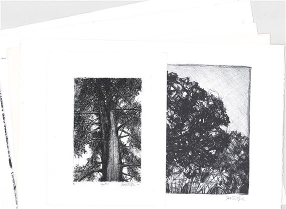 Kate Ten Eyck | Biography