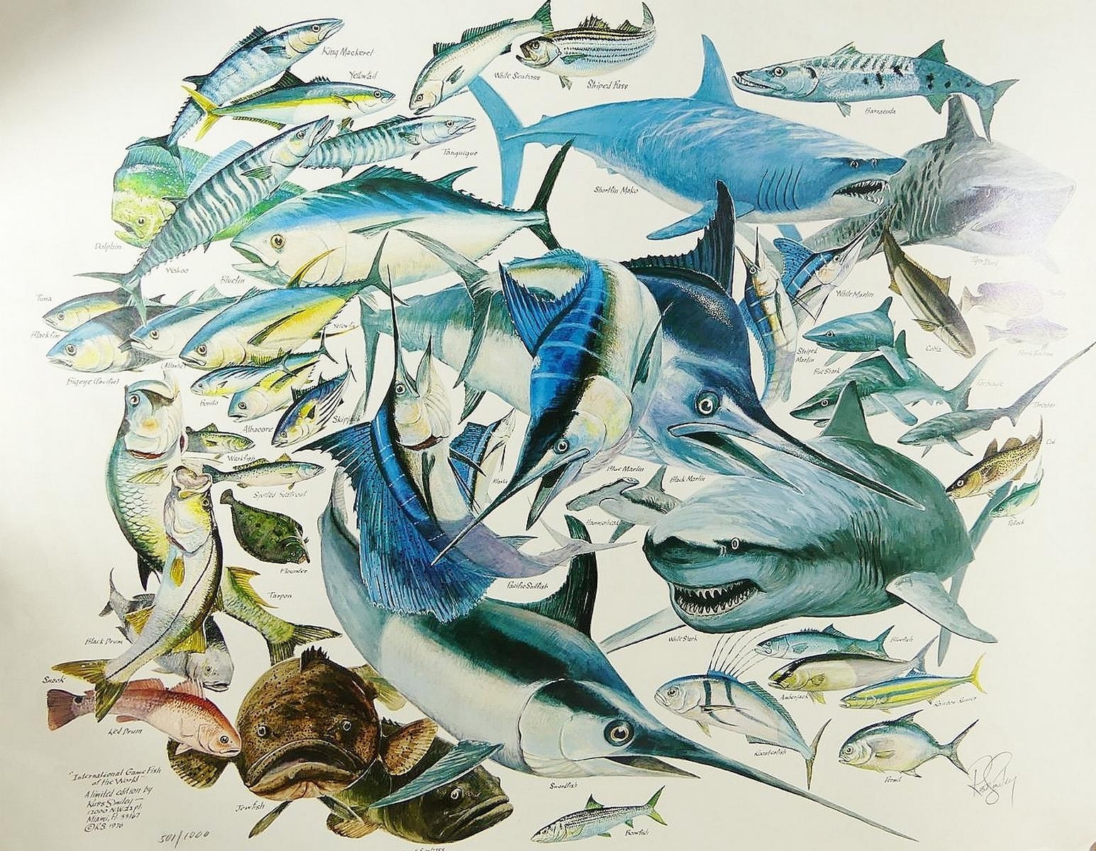 Russ Smiley | Two works: 101 Fish or the South Atlantic; International ...