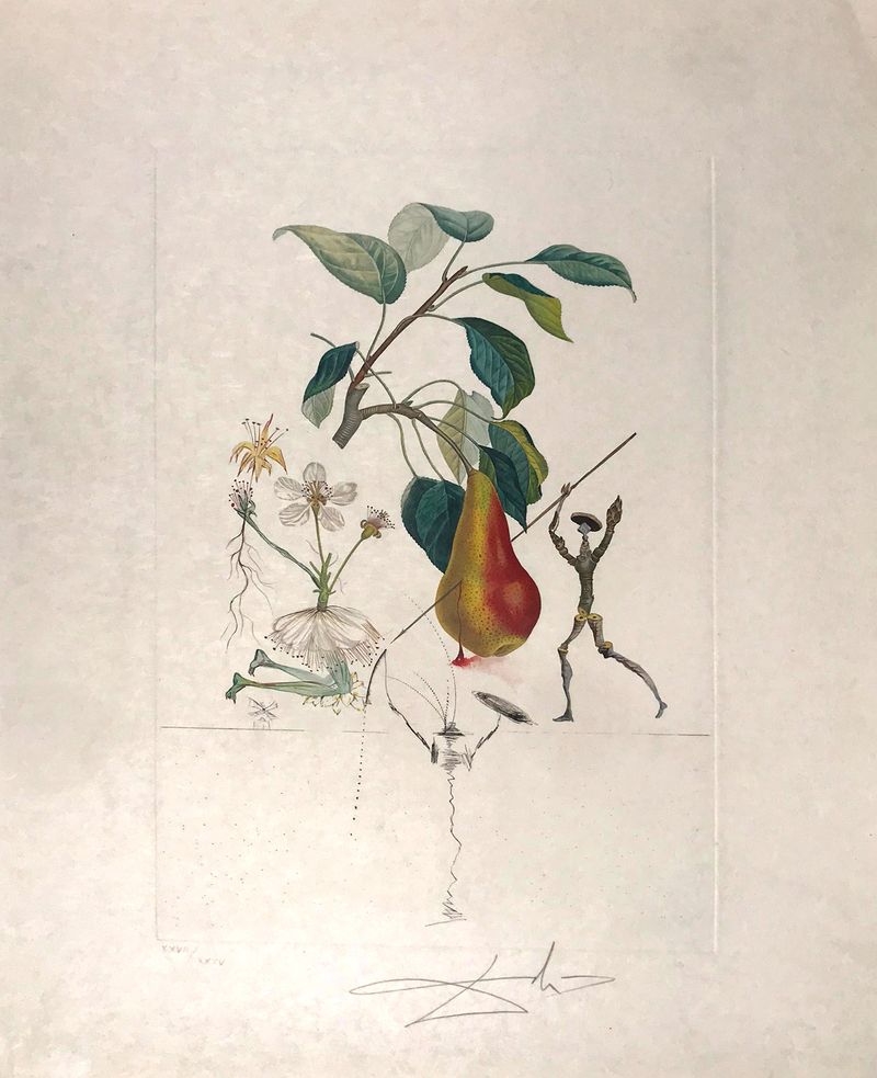 Salvador Dalí | Flordali II: La Rose Papillon (1981) | MutualArt