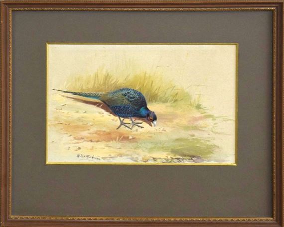 Philip Rickman | Pheasant in Woodland | MutualArt