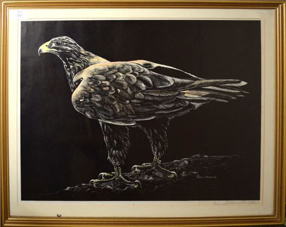 Pamela Hardwick | Golden Eagle | MutualArt