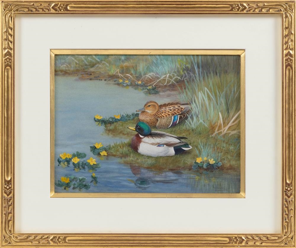 Richard Robjent | A mallard drake and hen. | MutualArt