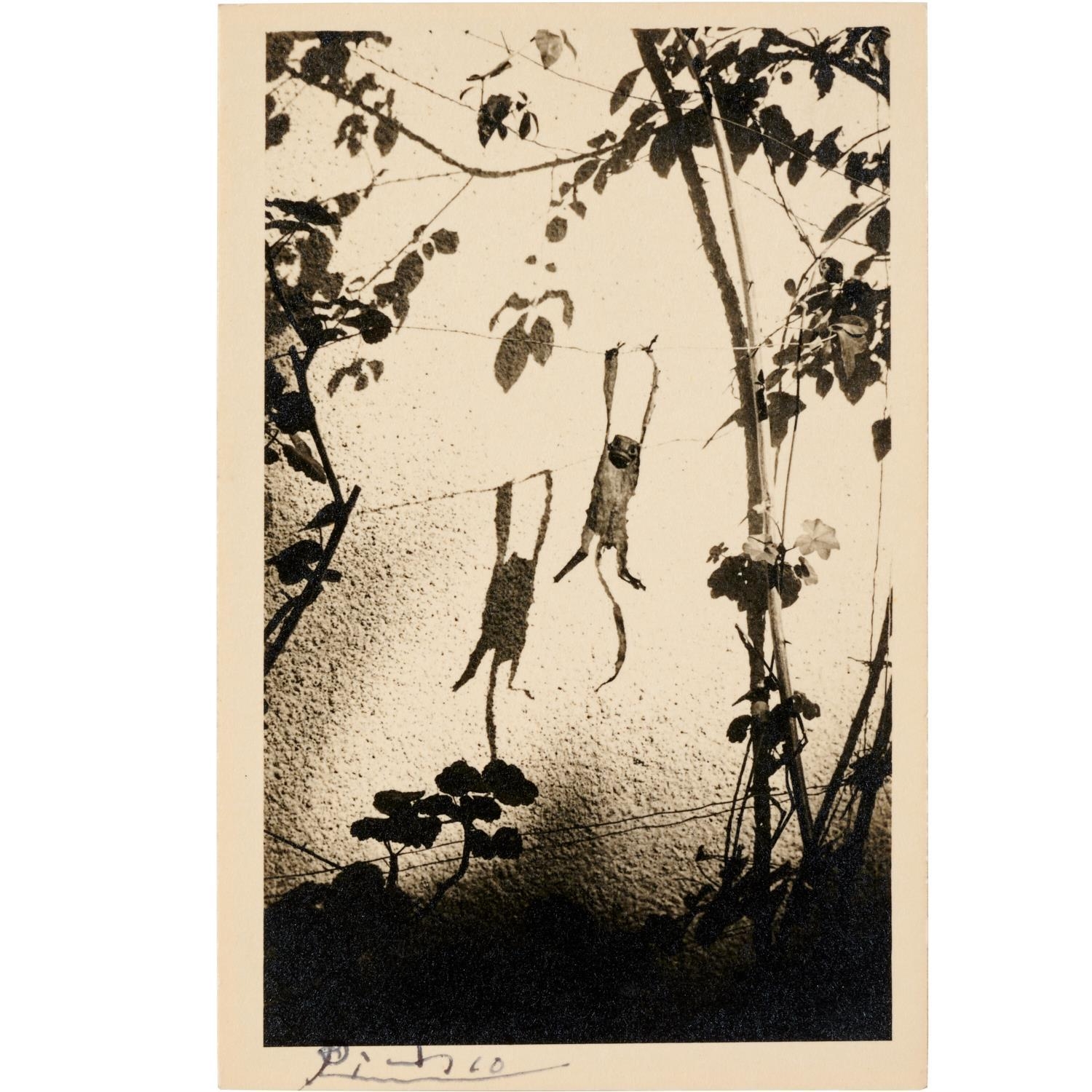 Pablo Picasso | Untitled (Monkey Hanging from Wire) (1945) | MutualArt