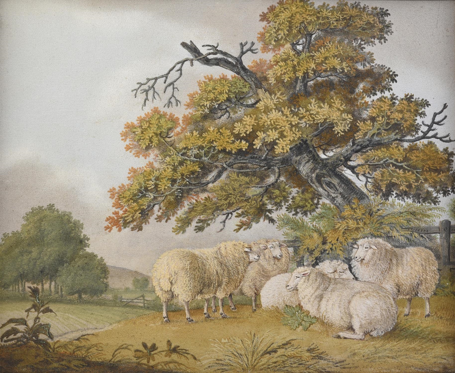 Benjamin Zobel | Sheep in a landscape | MutualArt