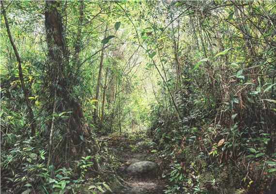 Noh Kyounghee | Biography