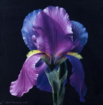 Claudia Bombarda | 2 Artworks at Auction | MutualArt