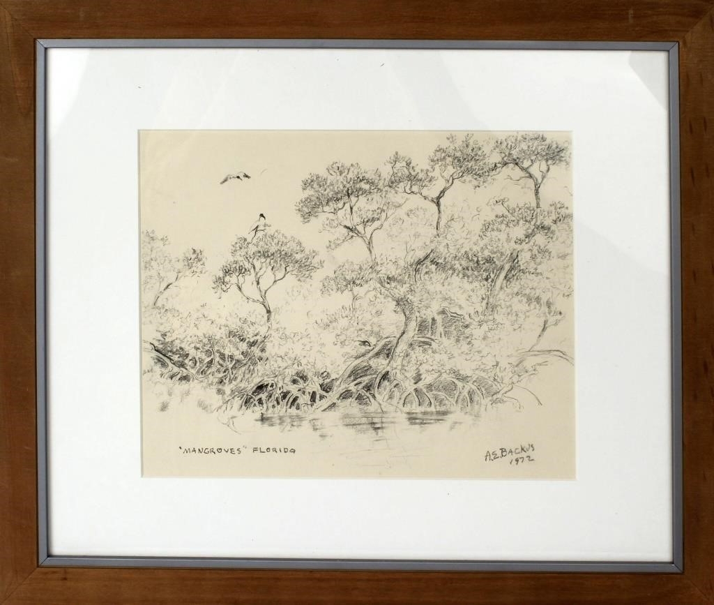 Albert Ernest Backus | Mangroves (1972) | MutualArt