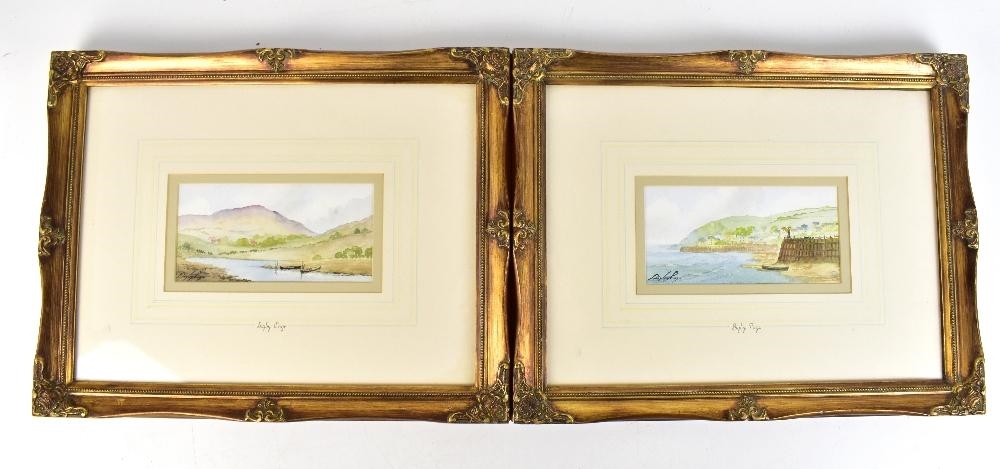 Digby Page | Two Works: Coastal and river landscapes | MutualArt
