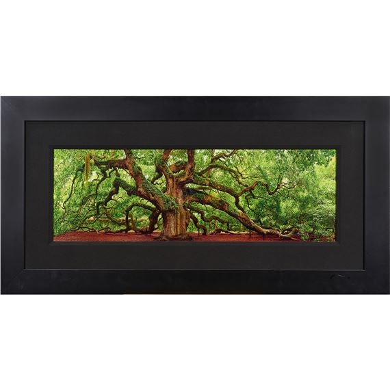 Peter Lik | Tree of Hope | MutualArt