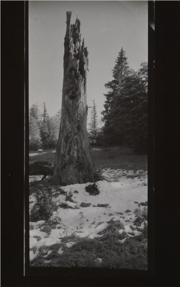 Josef Sudek | Two works: La Foret de Mionsi, tronc enneigé | MutualArt