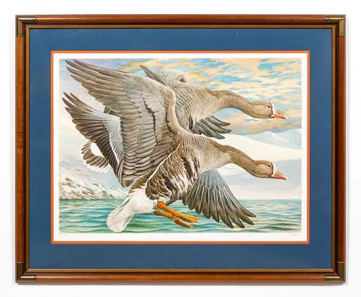 Basil Ede | Great White Fronted Goose (1985) | MutualArt