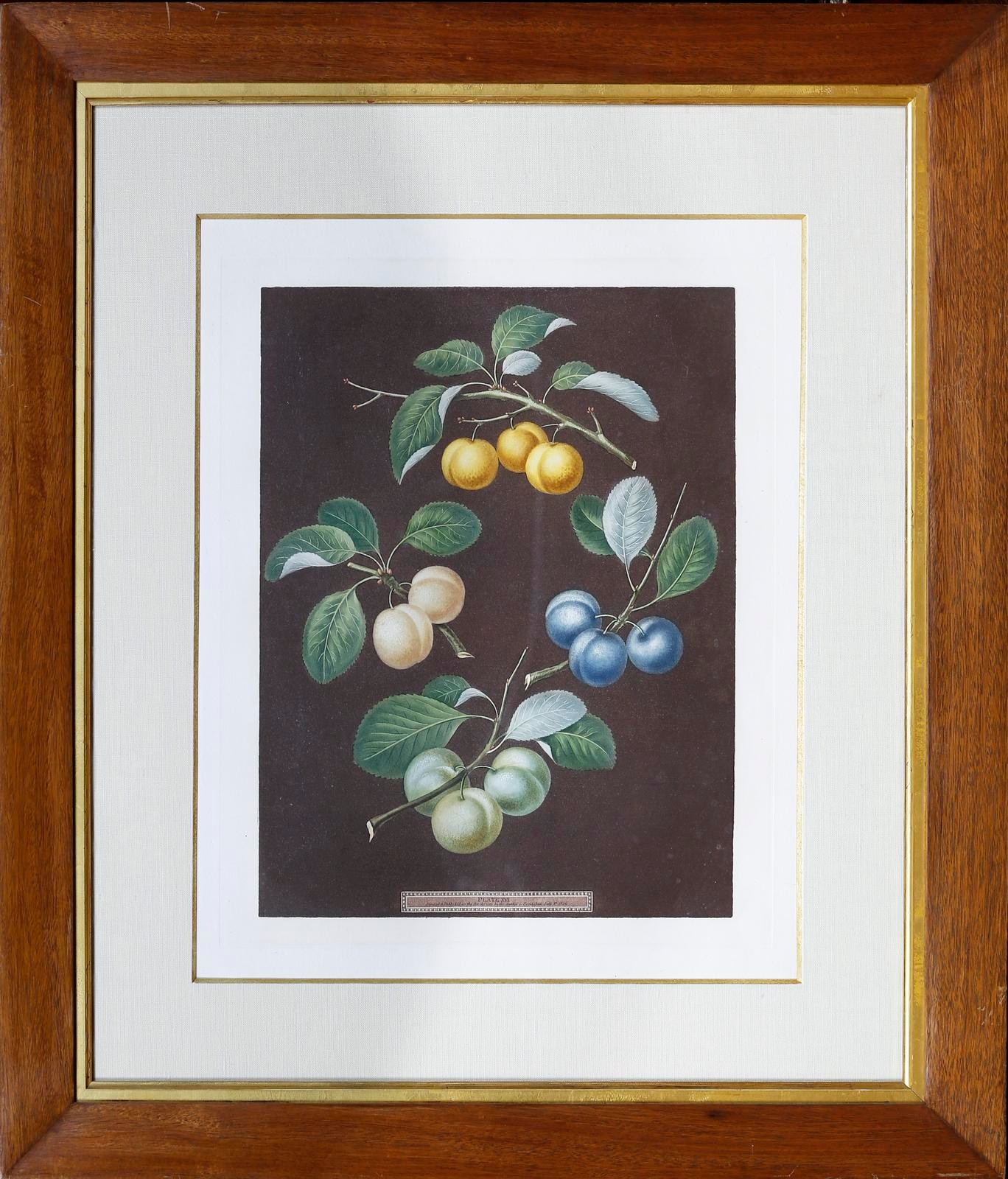 George Brookshaw | Plums | MutualArt
