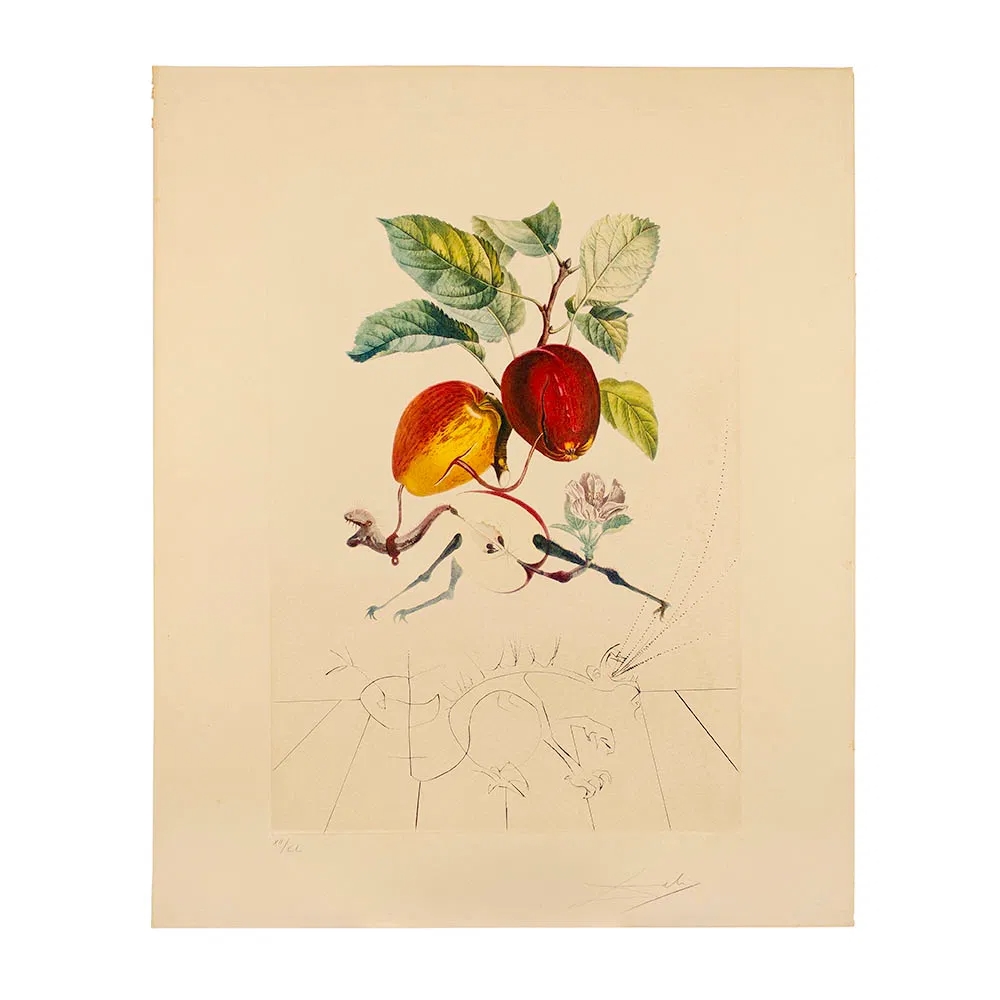 Salvador Dalí | FLORDALI ’, THE FRUITS: DRAGON APPLE (1969 - 1970 ...