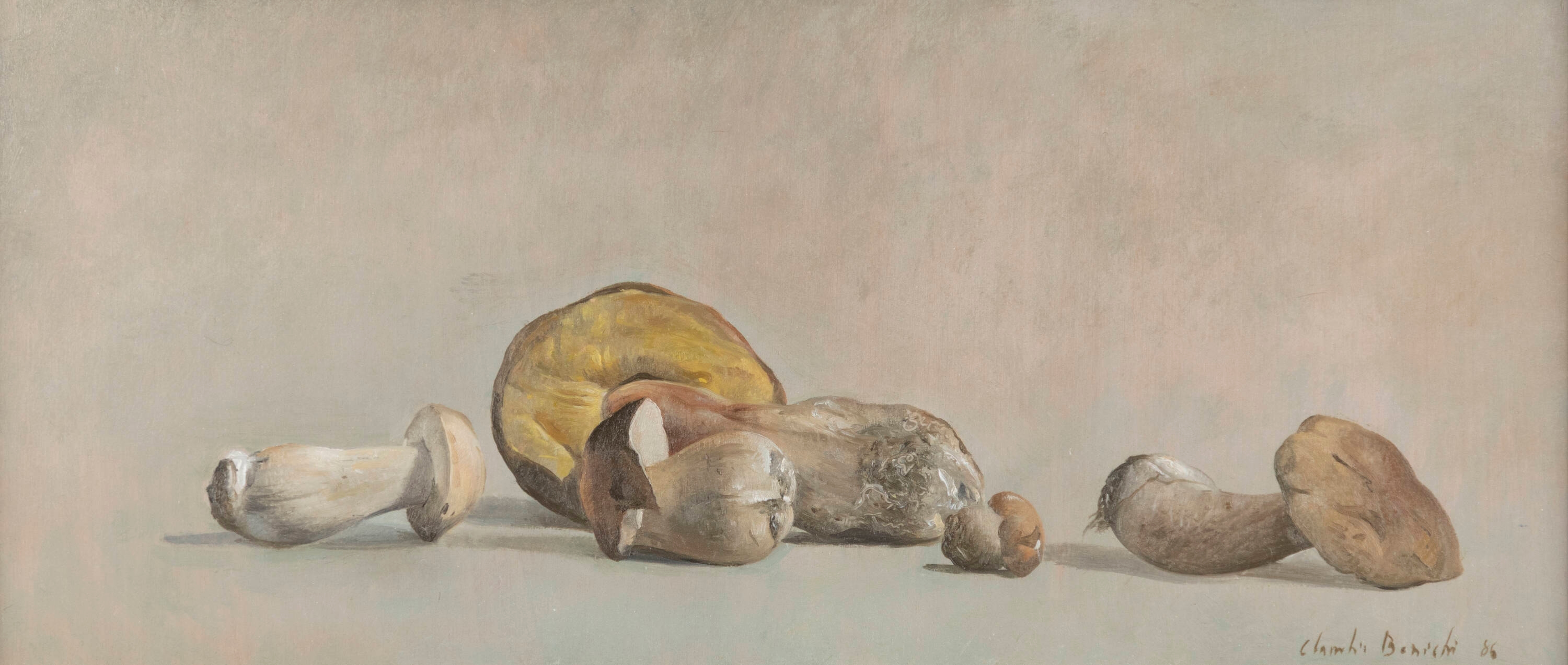 Claudio Bonichi | Funghi (1986) | MutualArt