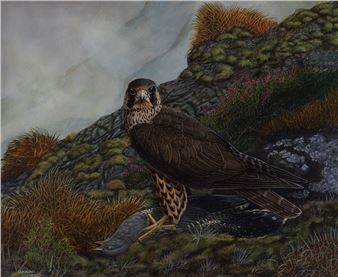 Gerard King | 8 Artworks at Auction | MutualArt