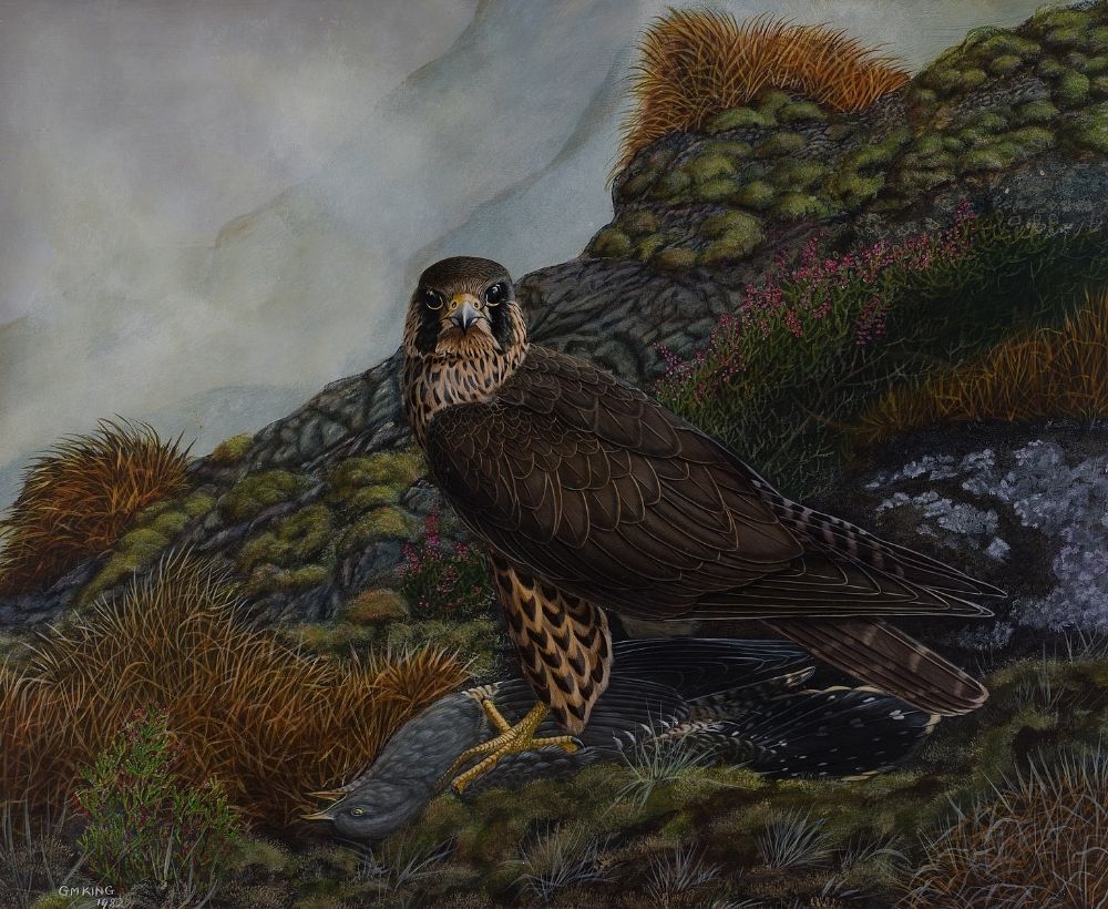 Gerard King | Two Works: PEREGRINE FALCONS (1982) | MutualArt